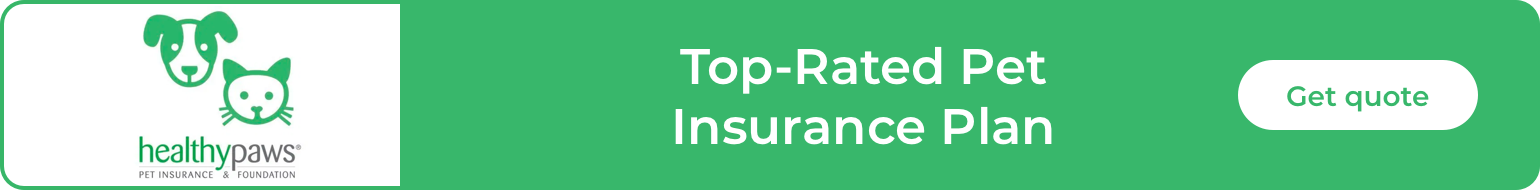 Find the Best Pet Insurance - Pet Insurance Guide | Clearsurance