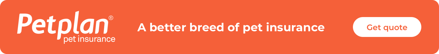 Find the Best Pet Insurance - Pet Insurance Guide | Clearsurance