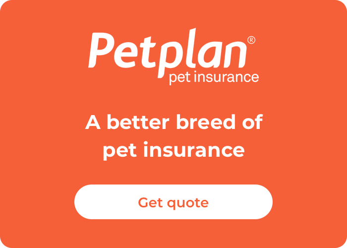 Find the Best Pet Insurance - Pet Insurance Guide | Clearsurance